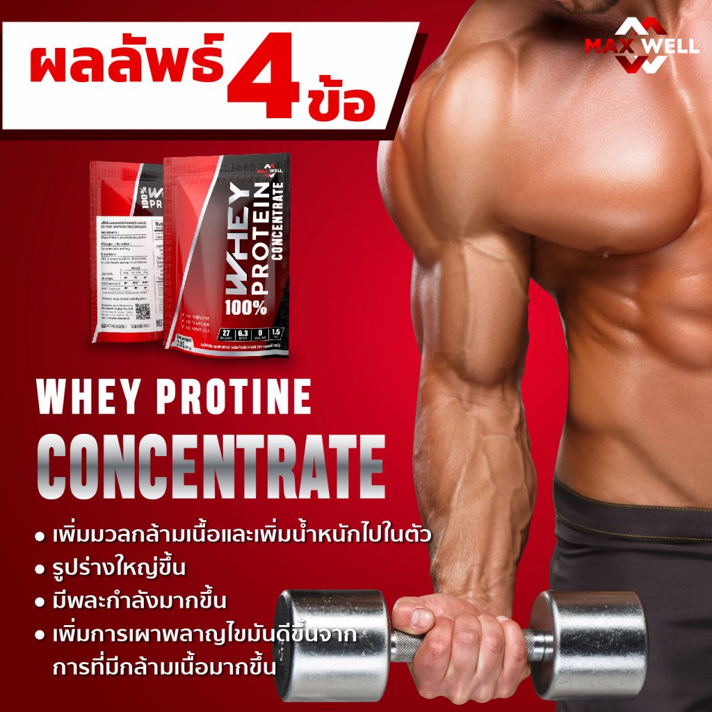 MAXWELL Whey Protein Concentrate - Maxwell Nutrition